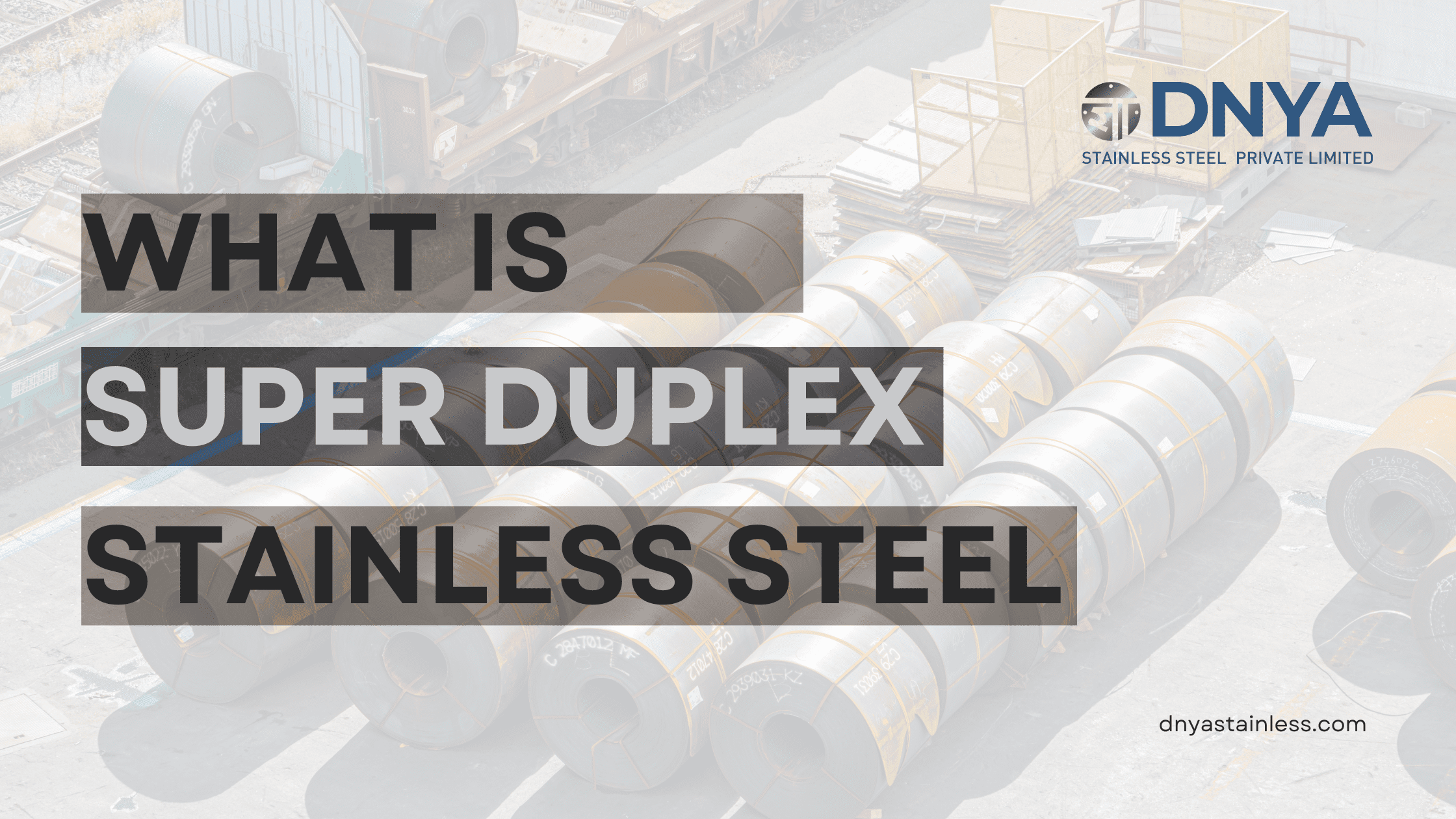 Products - Dnya Stainless Steel